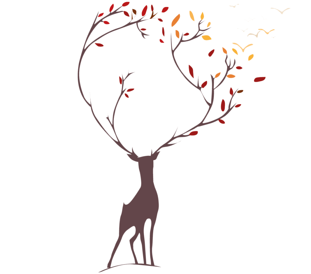 La symbolique de la forêt et des arbres – Cime'Tree