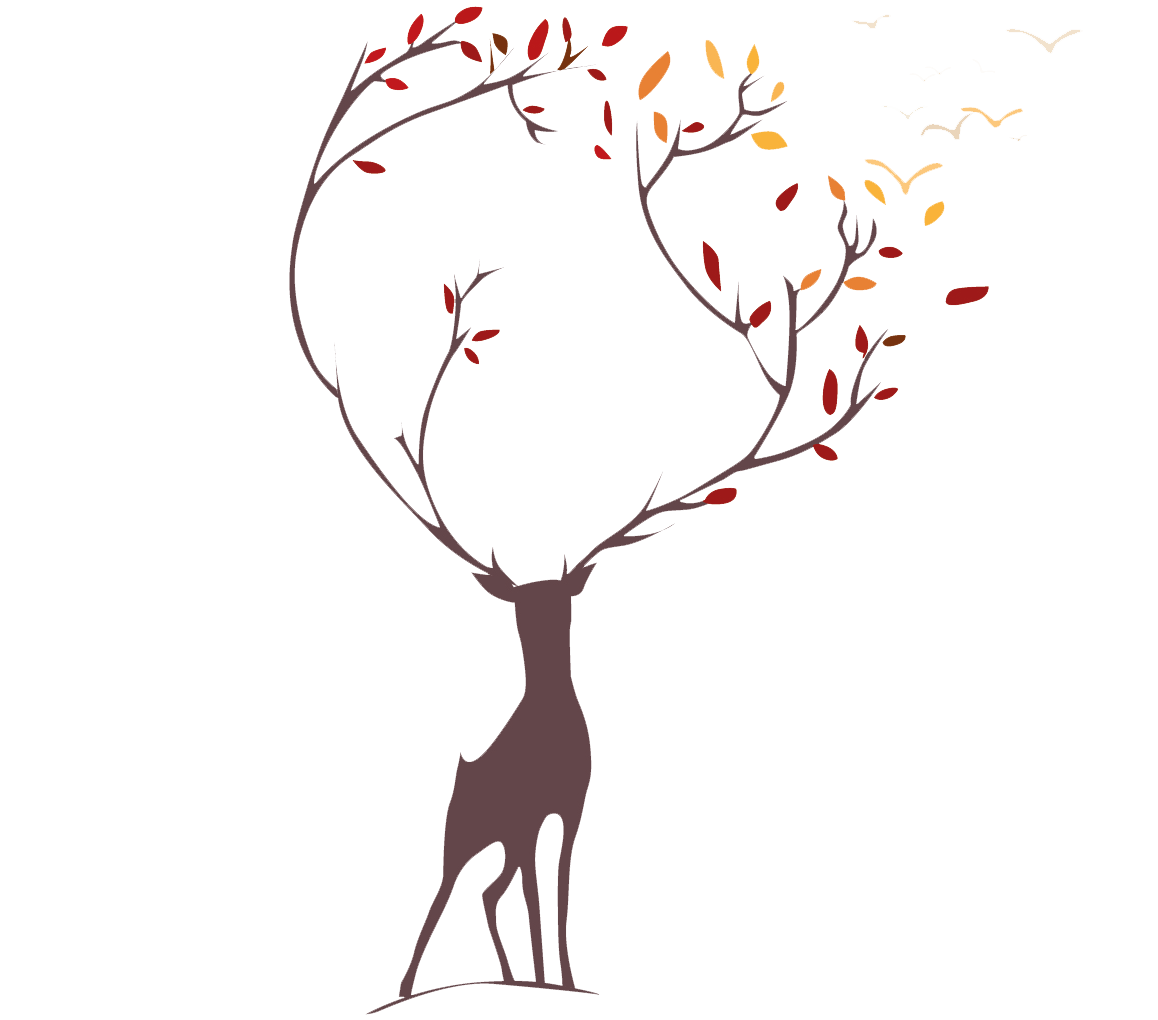 La symbolique de la forêt et des arbres – Cime'Tree